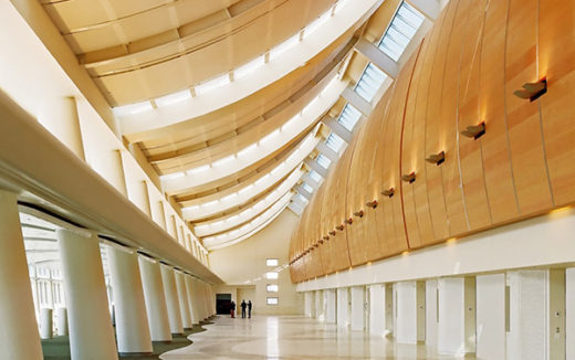 Rambusch - Light Abilities